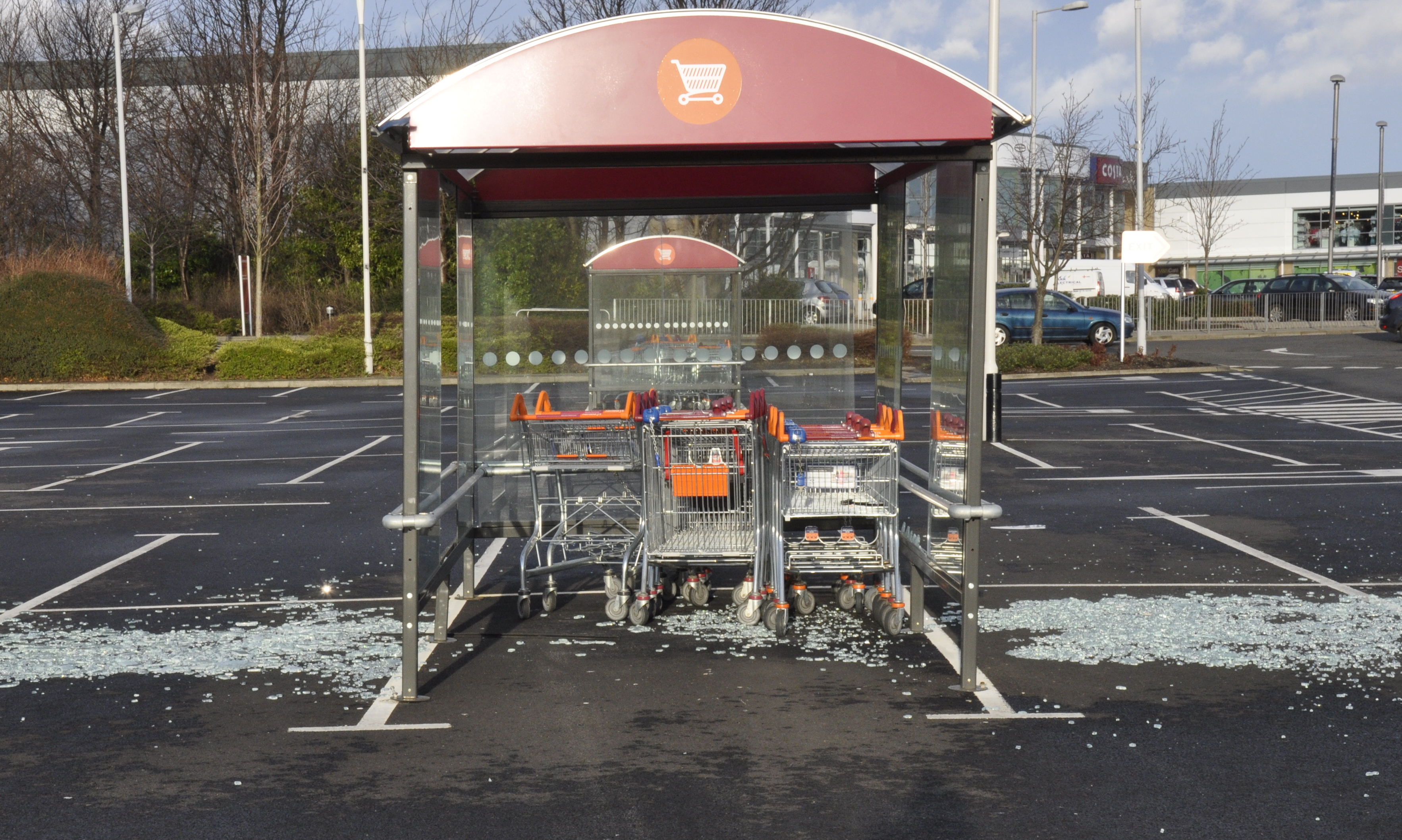 Carnage following todays high winds – The NEN – North Edinburgh News