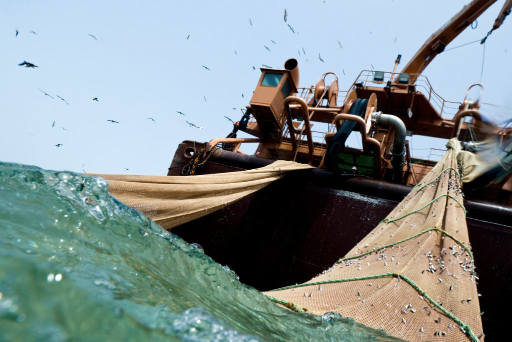 Local Greenpeace group’s concern over supertrawlers – The NEN – North ...