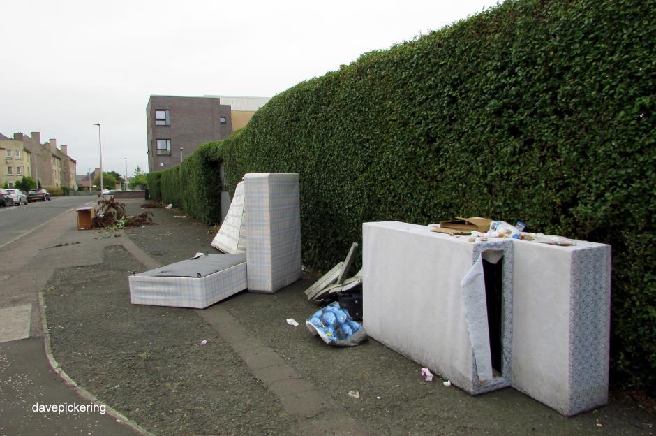 dumping ground wee – The NEN – North Edinburgh News