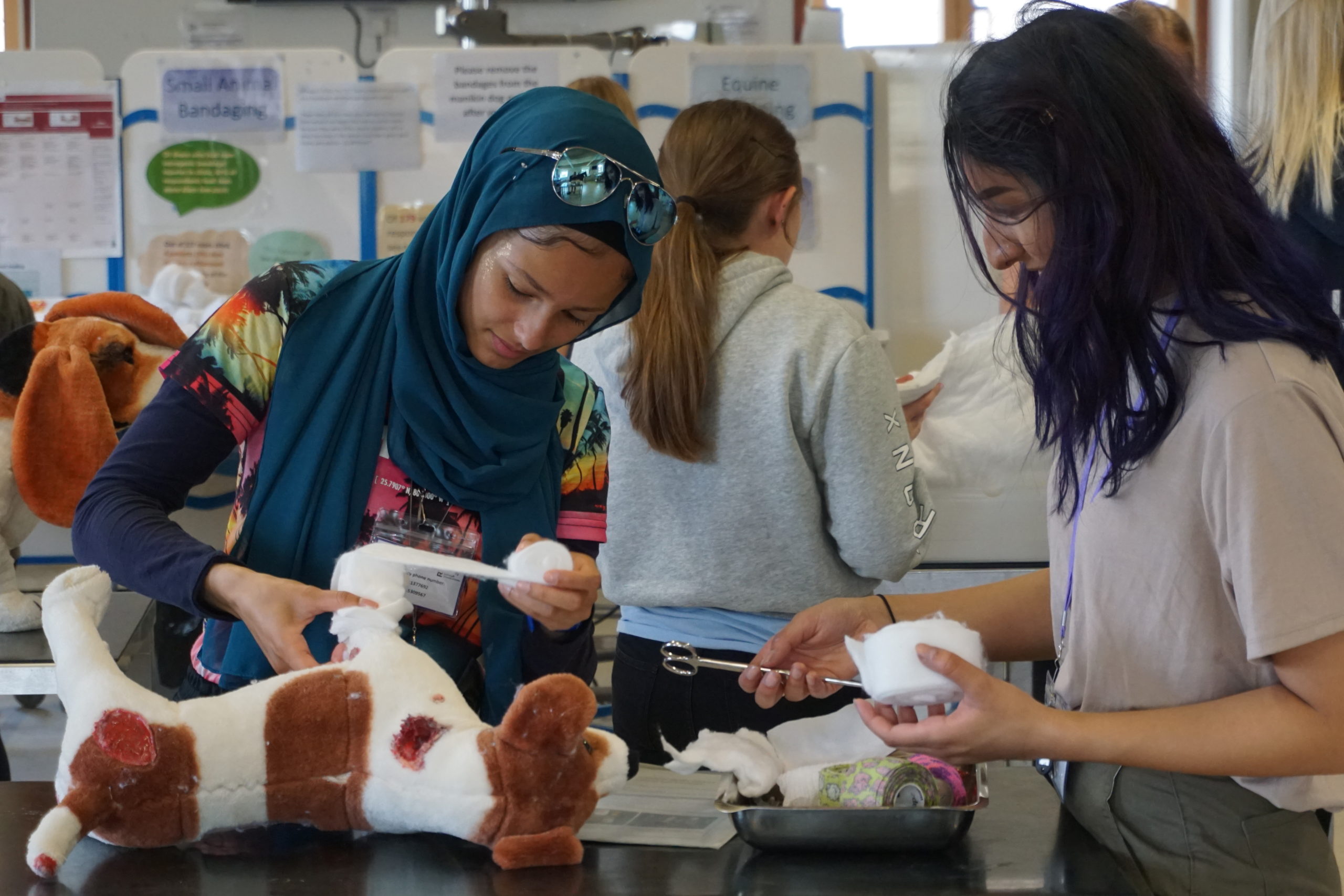 Applications for the Royal Veterinary College Summer Schools are now ...
