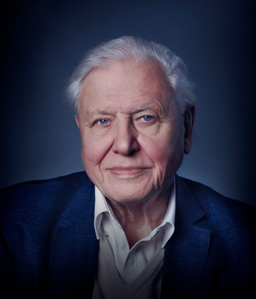 WWF celebrates Sir David Attenborough’s outstanding contributions to ...