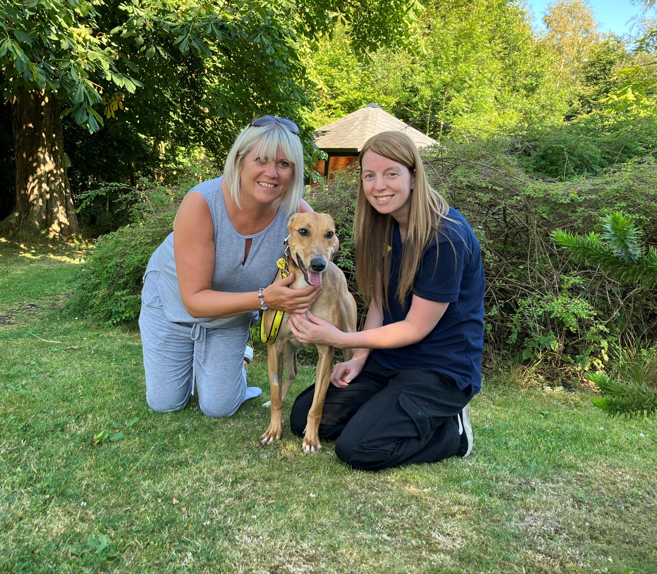 Sue Webber MSP welcomed to Dogs Trust Rehoming Centre – The NEN – North ...