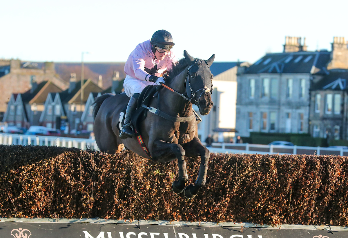Musselburgh Racecourse kicks off jumps season with new race in honour ...