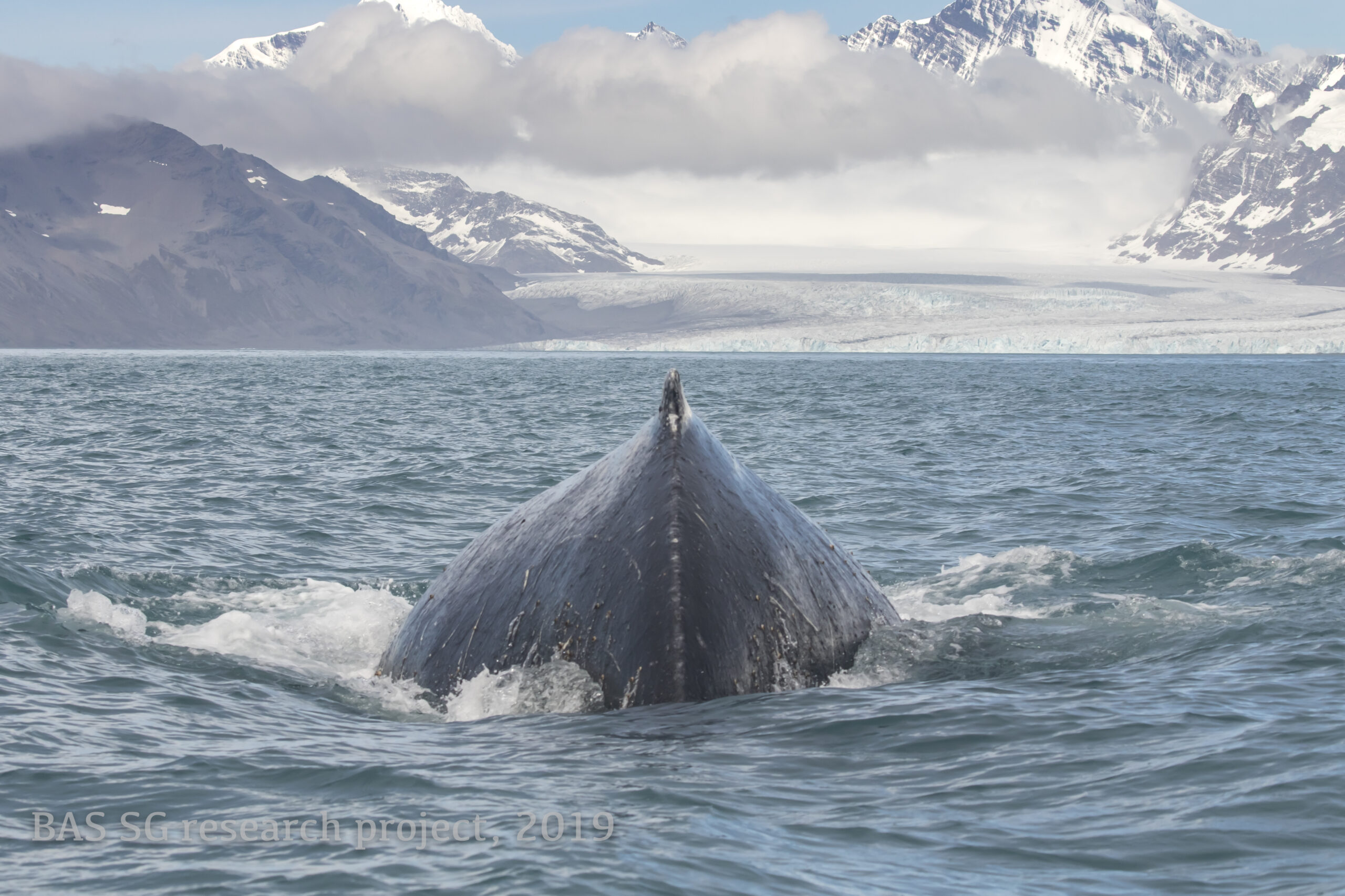 Scottish whaling memories captured in new project – The NEN – North ...