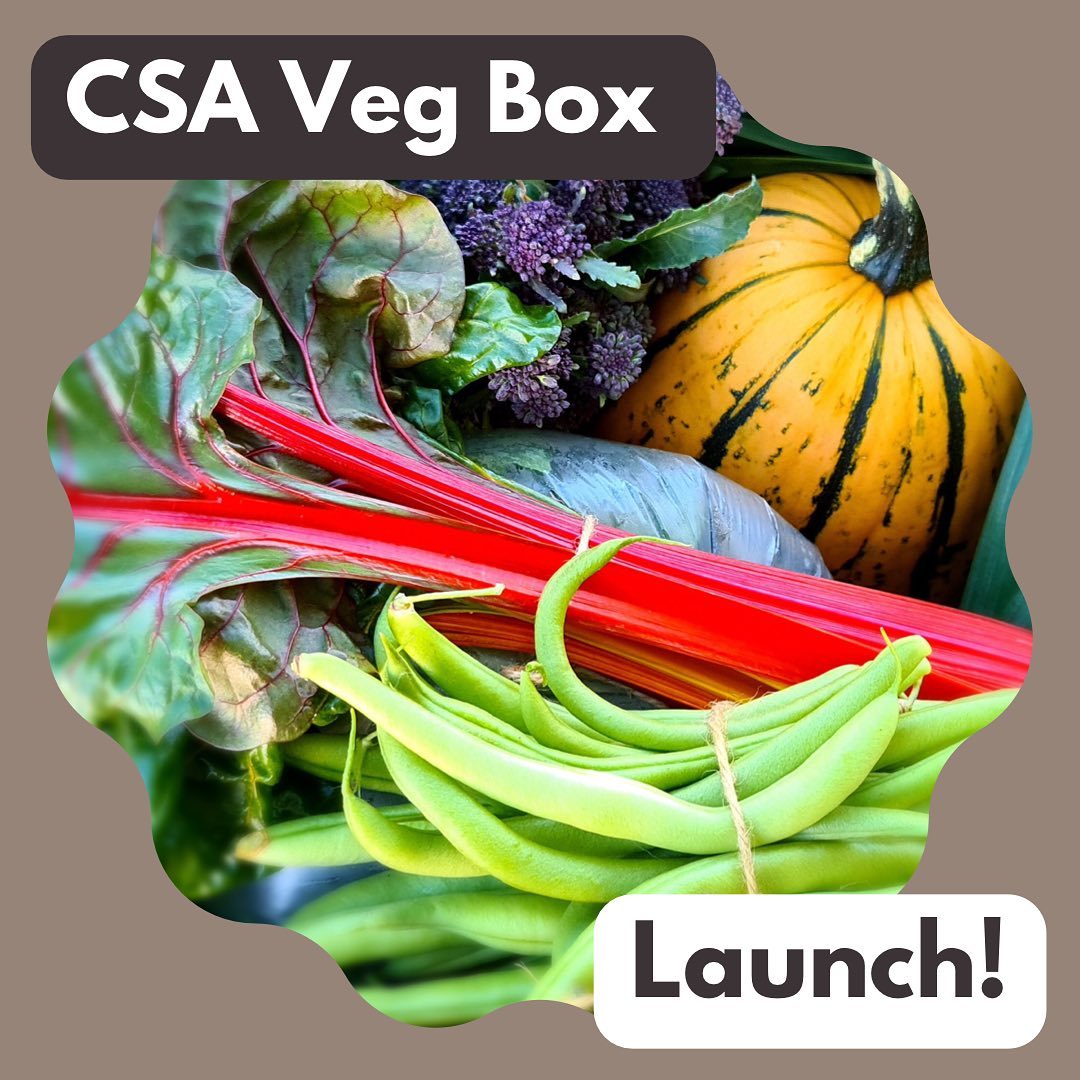 Announcing … Community Supported Agriculture Veg Boxes! – The NEN ...