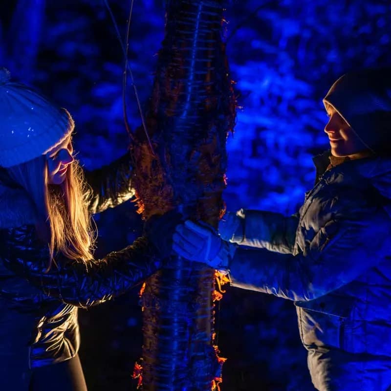 Introducing the Scottish Borders first Winter Light Trail: Monteviot ...