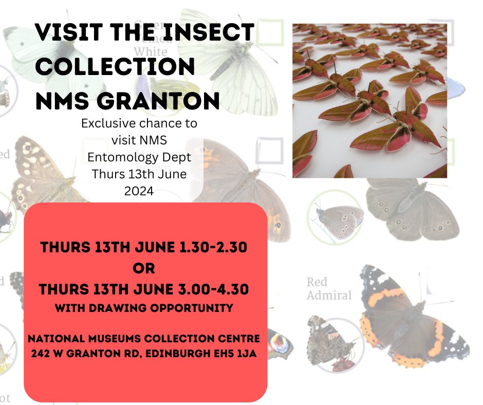 Opportunities to visit Insect Collection at National Museums Centre ...