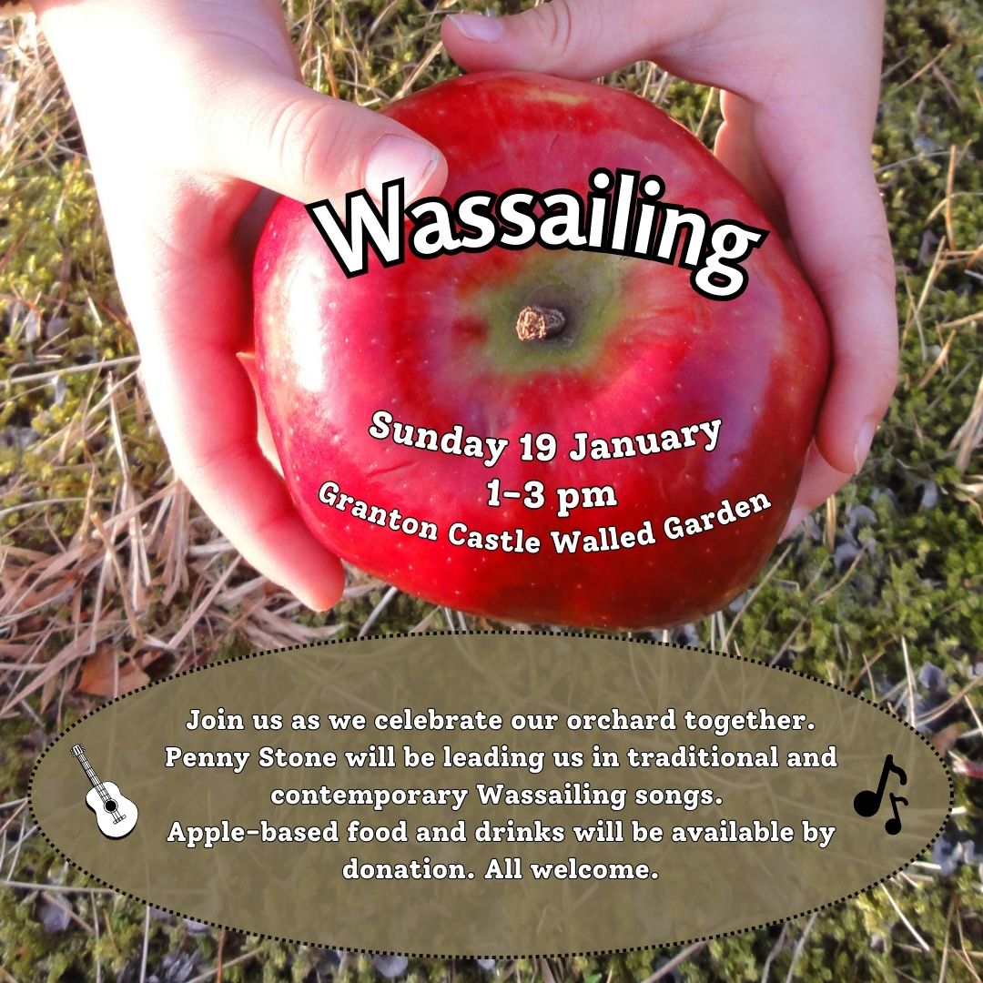 Wassailing at Granton Castle Walled Garden – The NEN – North Edinburgh News