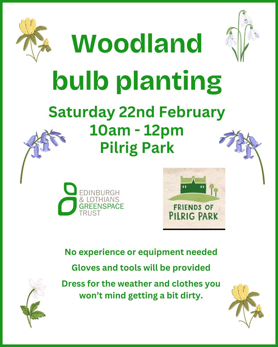 Woodland bulb planting at Pilrig Park – The NEN – North Edinburgh News