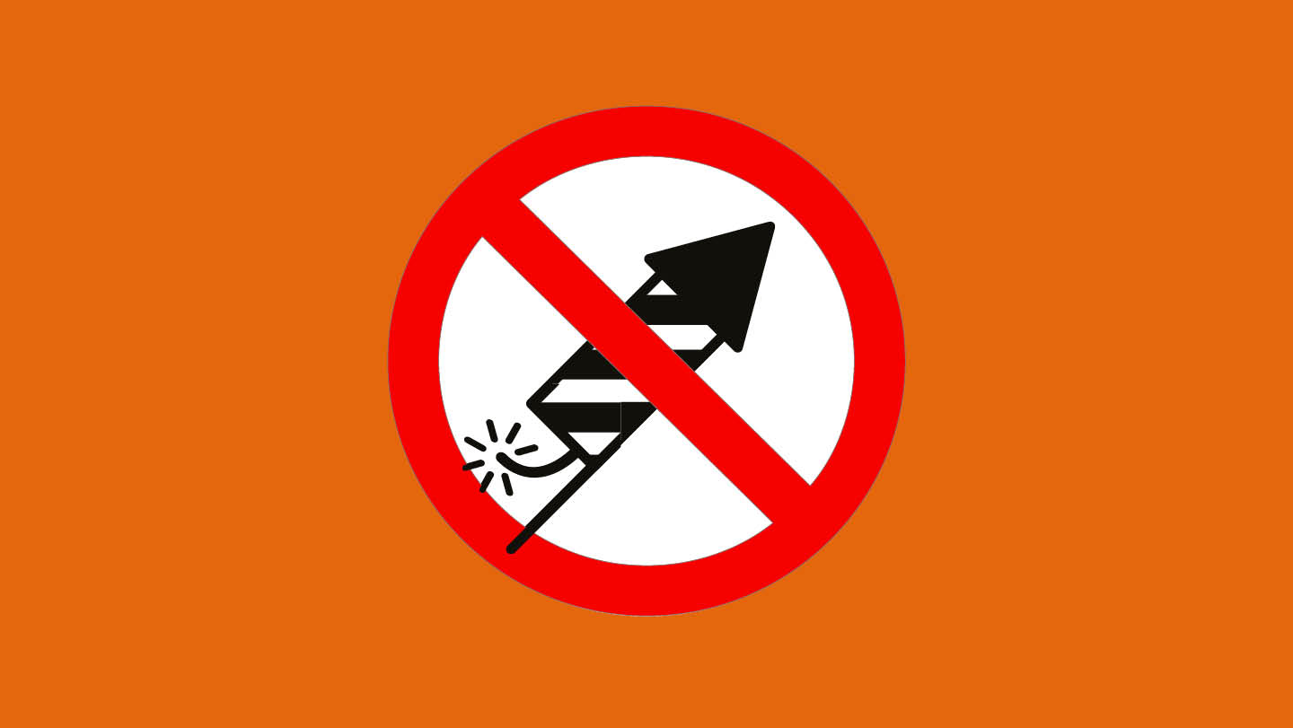 Share your views on Firework Control Zones for 2025 – The NEN – North ...