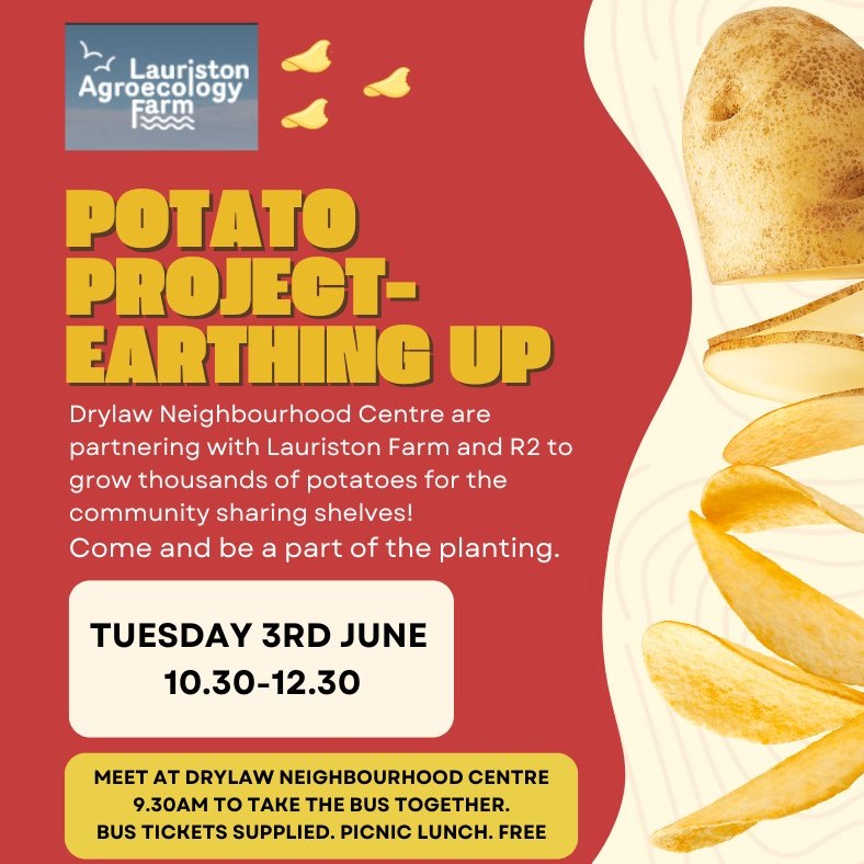 Potato Project: Earthing Up – The NEN – North Edinburgh News