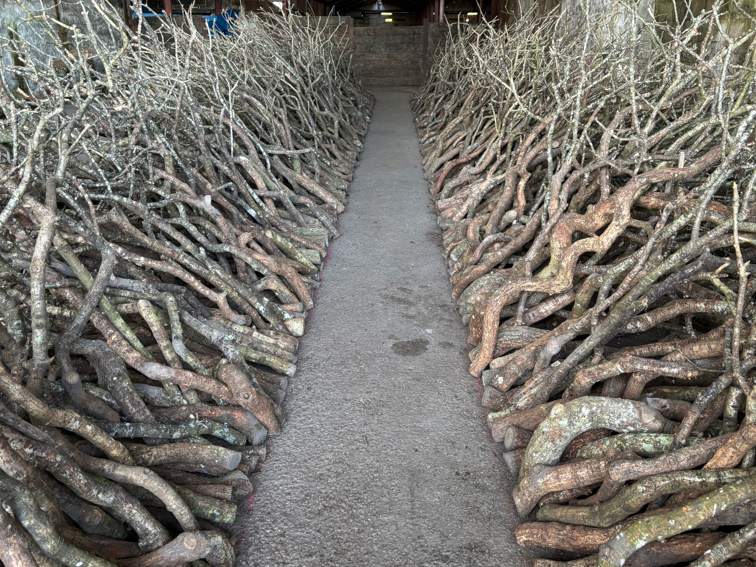 Celebrate Fifty Years of Andy Goldsworthy at the National Galleries of ...
