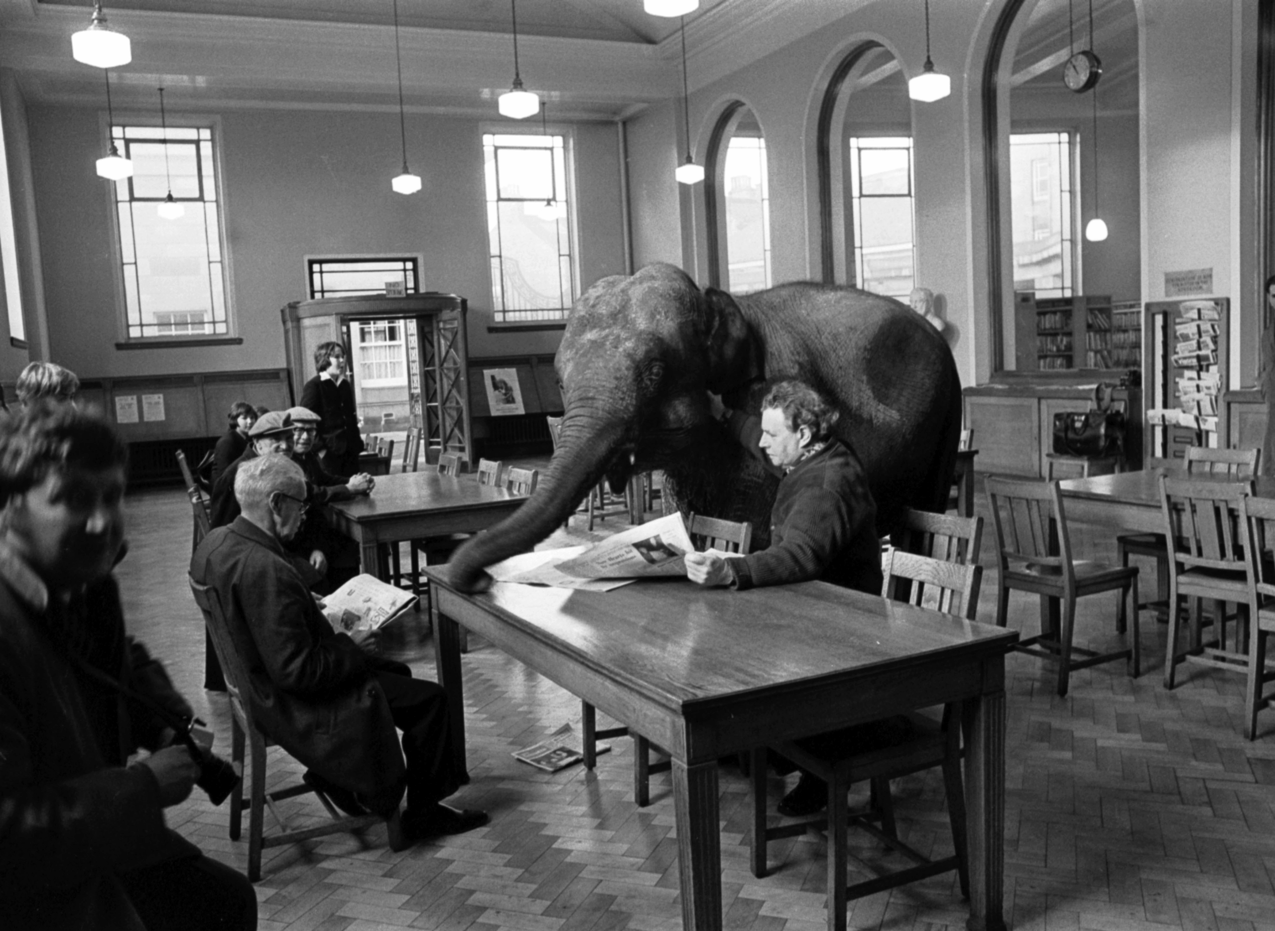 History of Scotland’s Libraries explored in Edinburgh Exhibition – The ...