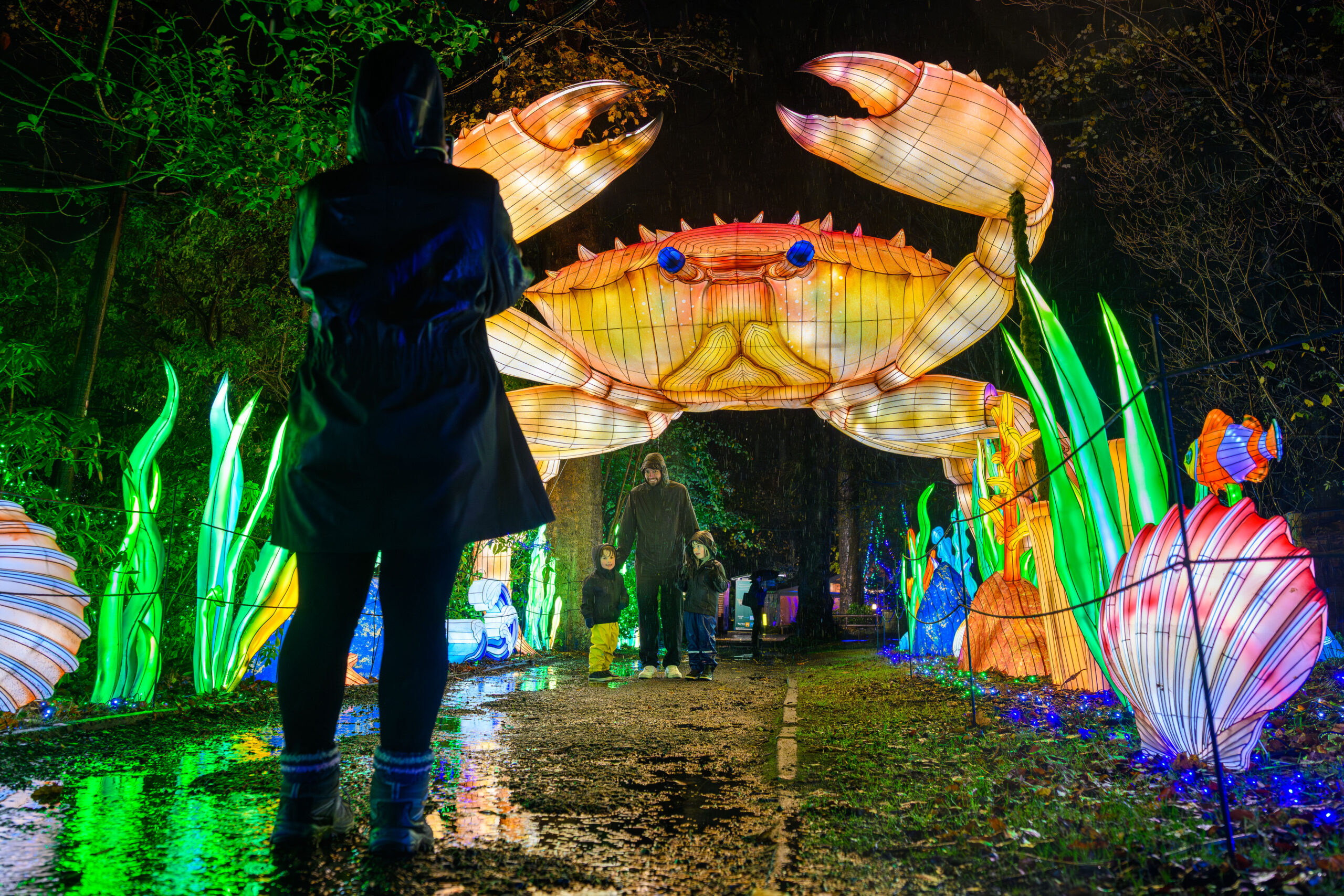 Glow Under The Sea at Edinburgh Zoo as the Giant Lanterns Trail Opens ...